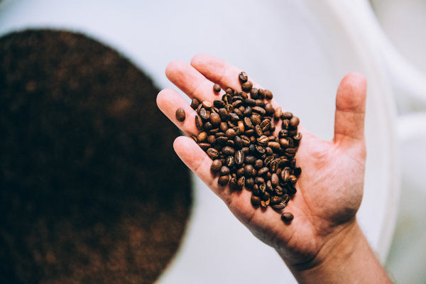 Cafetal Coffee Co. Roasters in Adelaide